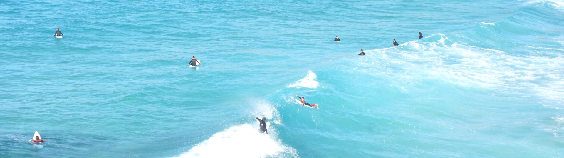 What's On | Salty's Bondi