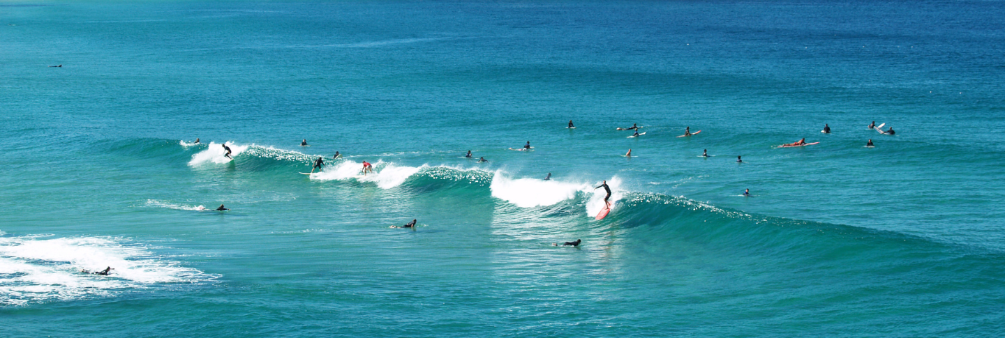 Bookings - Salty's Bondi